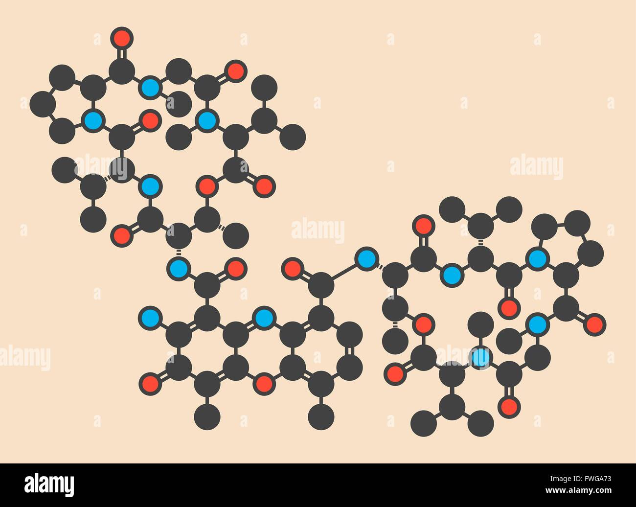 Dactinomycin (actinomycin D) cancer chemotherapy drug molecule Stylized ...