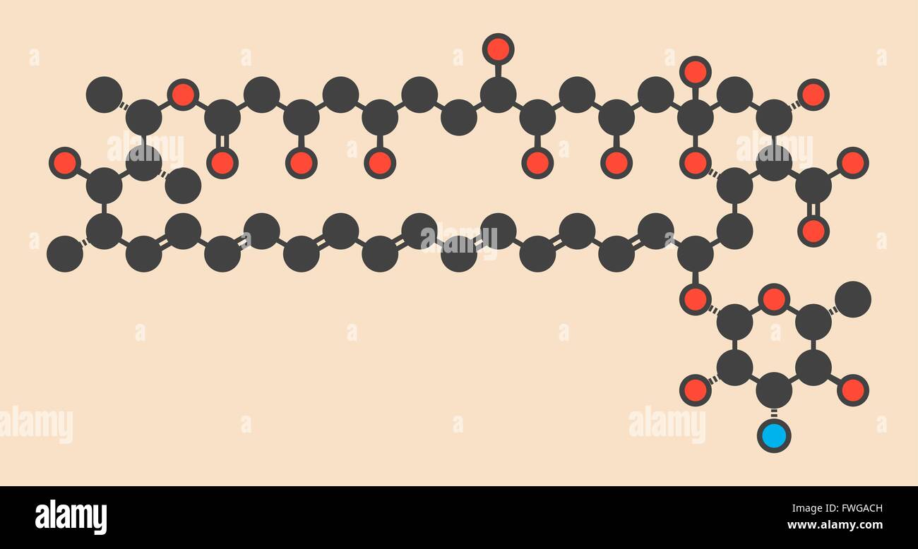 Amphotericin B antifungal drug molecule Stylized skeletal formula ...
