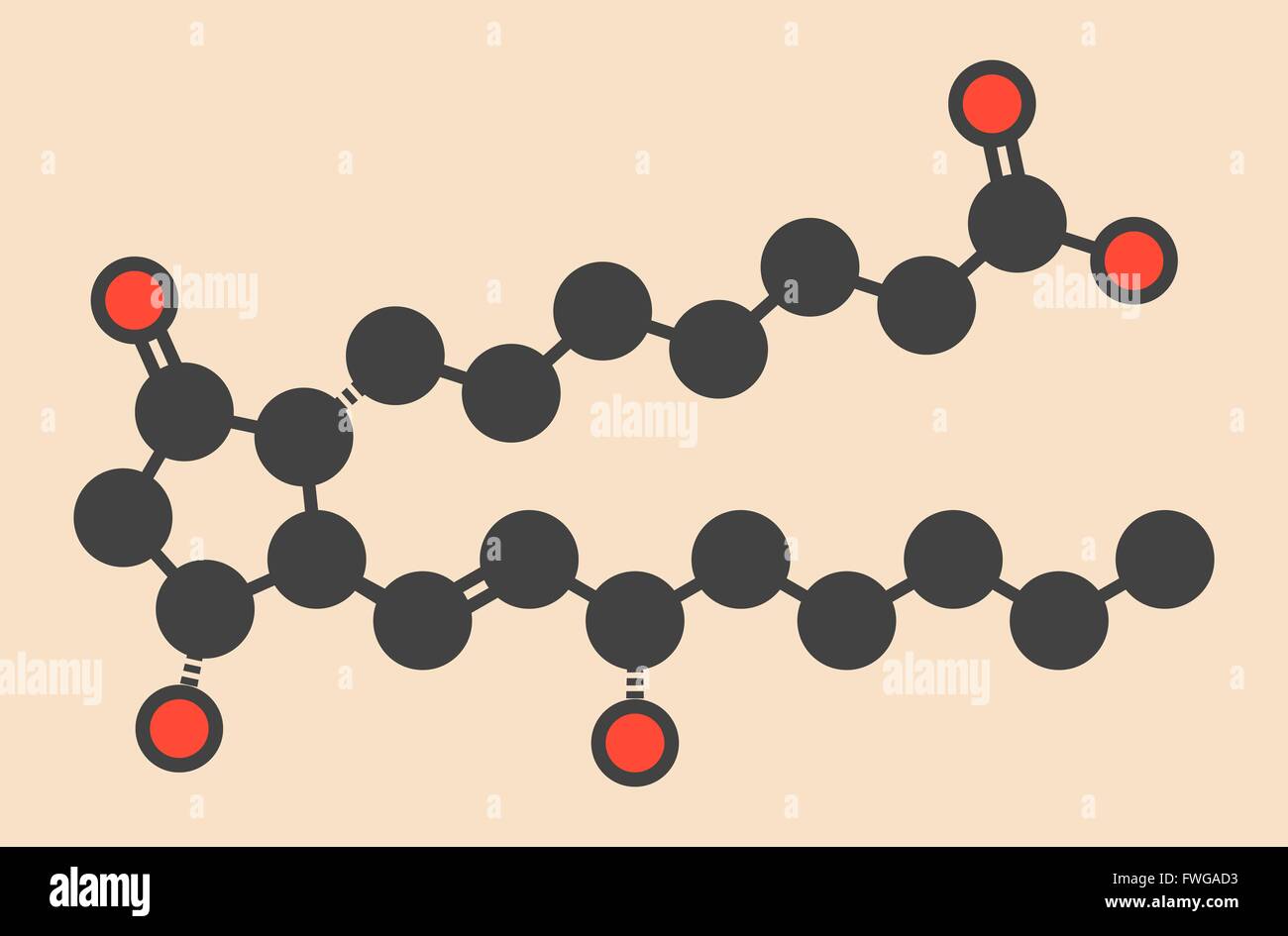 Alprostadil (prostaglandin E1) erectile dysfunction drug molecule ...