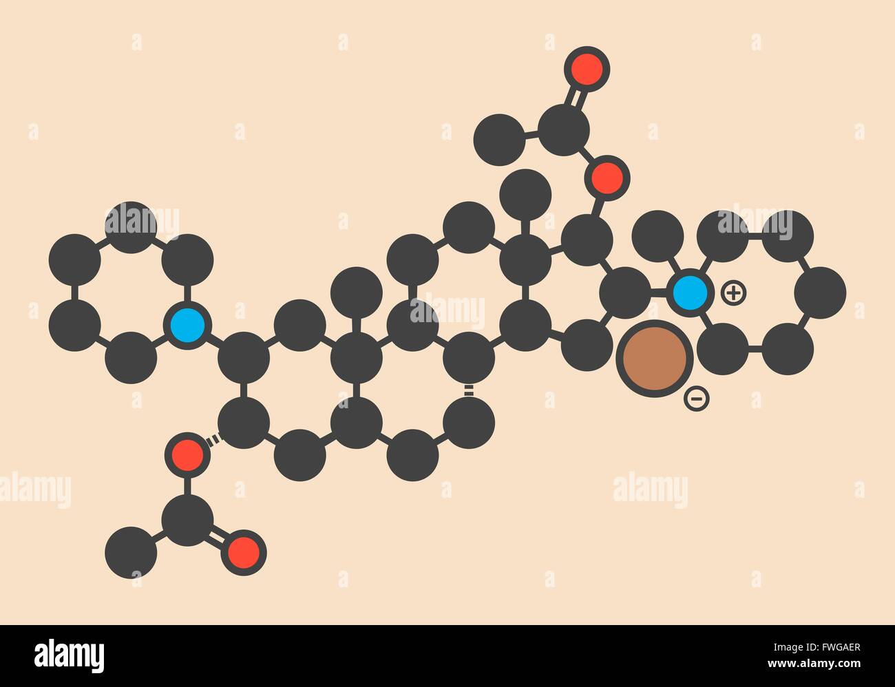 Muscle paralysis hi-res stock photography and images - Alamy