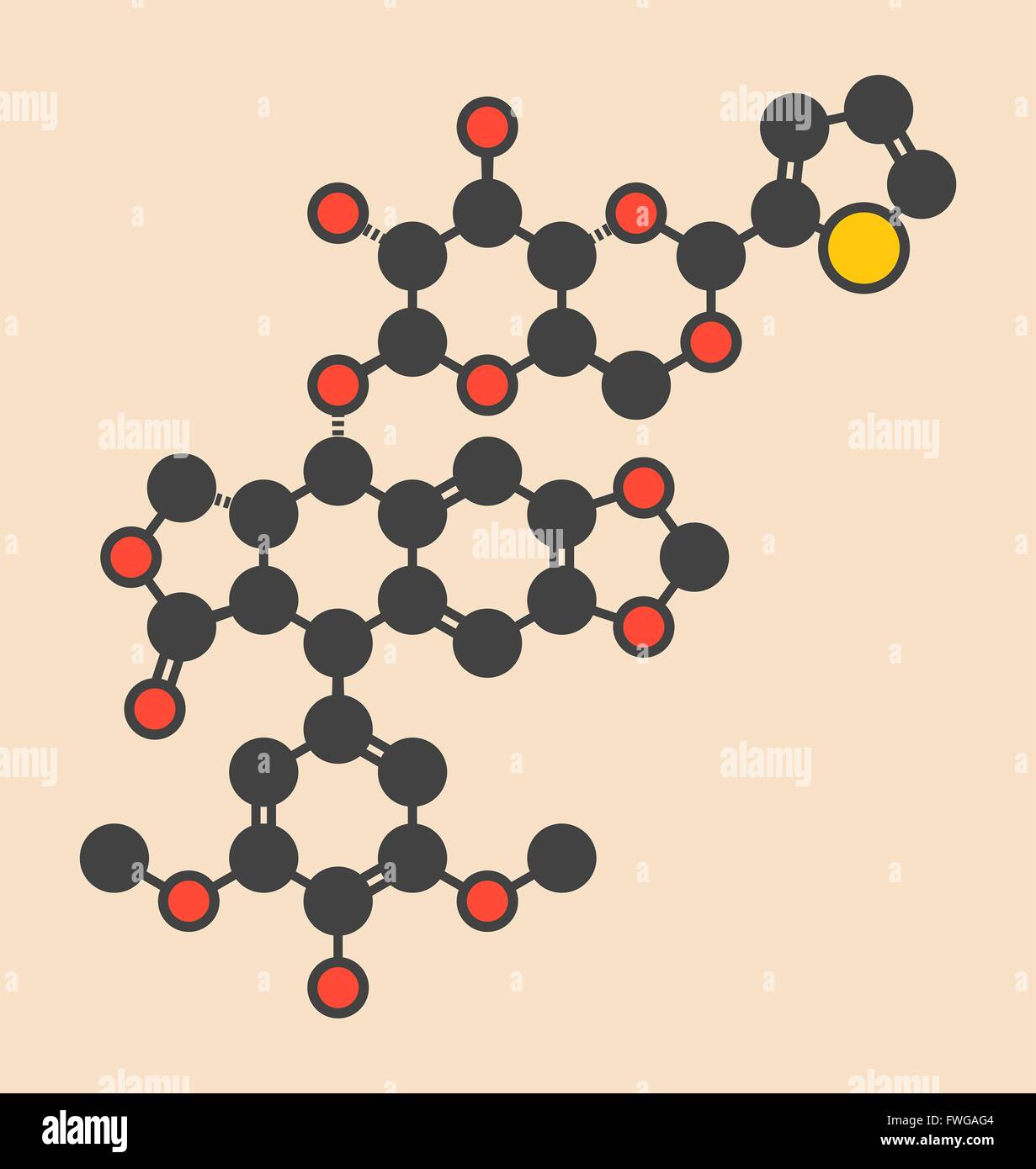 Inhibitor of topoisomerase hi-res stock photography and images - Alamy