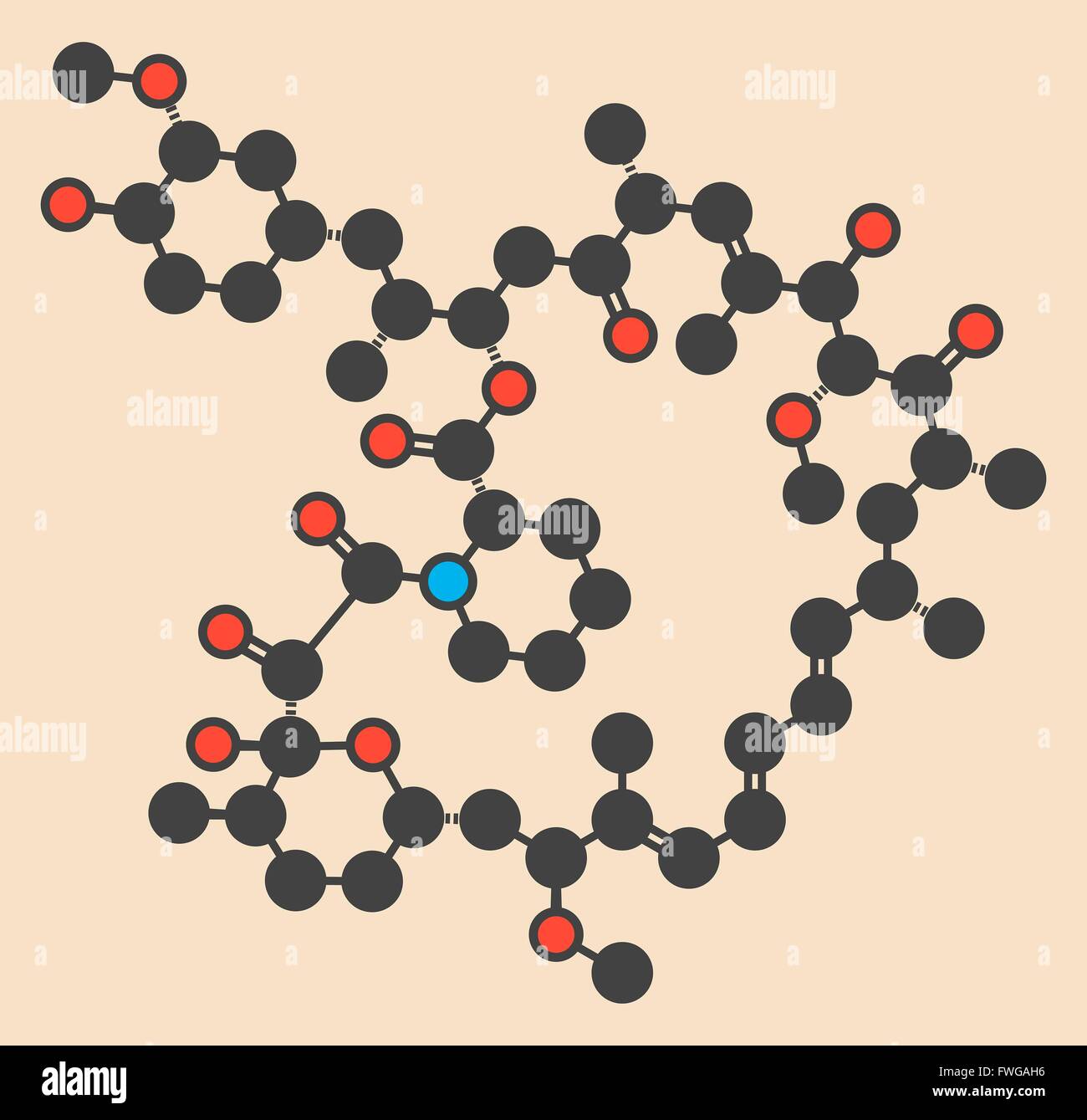 Rapamycin (sirolimus) immunosuppressive drug molecule Used to prevent ...