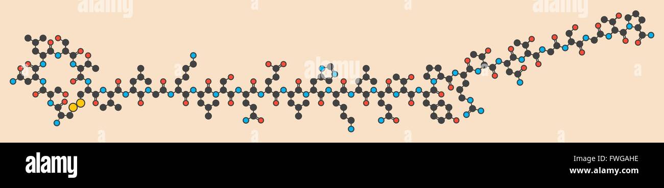Hormone calcitonine hi-res stock photography and images - Alamy