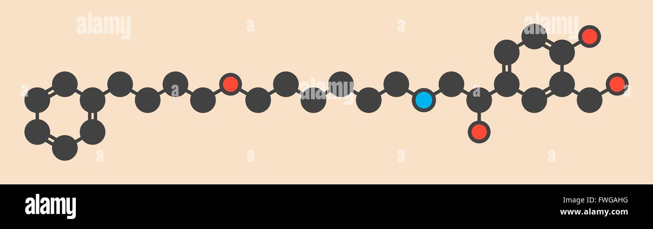 Salmeterol Structure