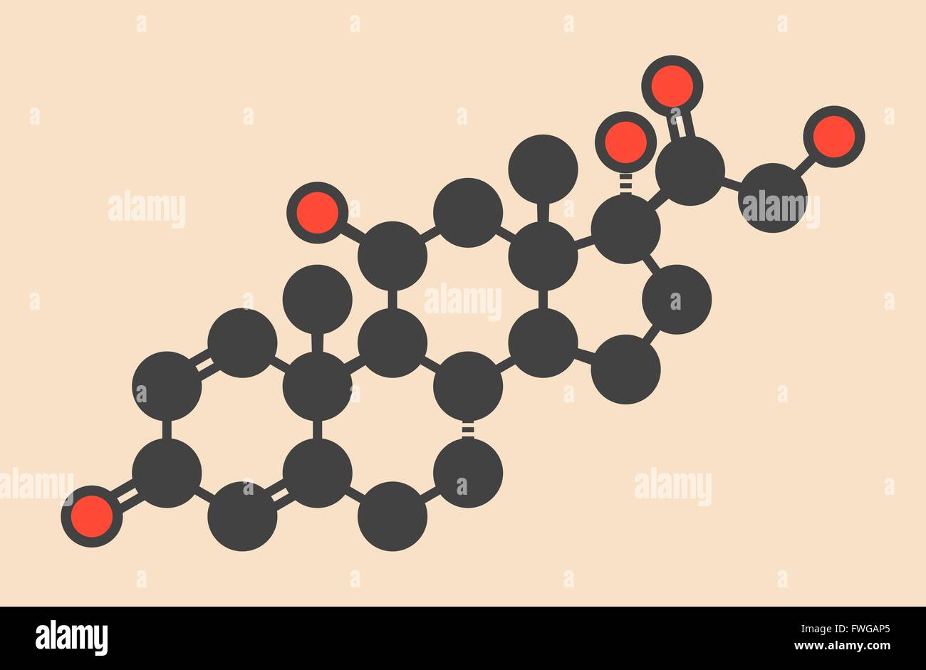 Prednisolone corticosteroid drug molecule Stylized skeletal formula ...