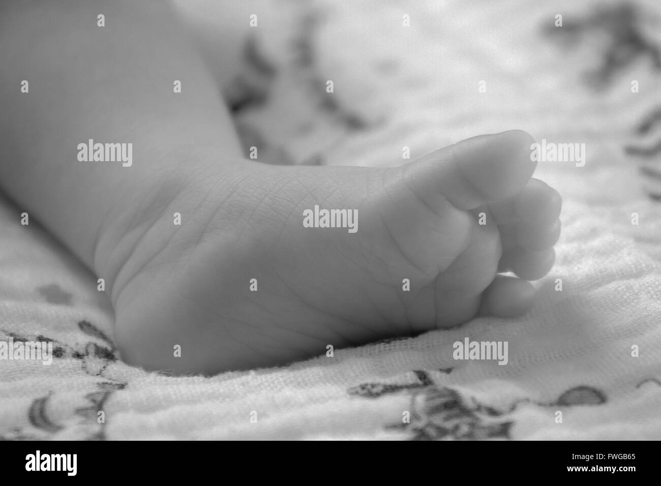 Baby Feet Black and White Stock Photos & Images - Alamy