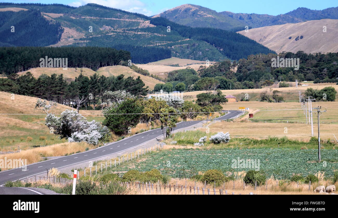 Rural New Zealand Stock Photo - Alamy