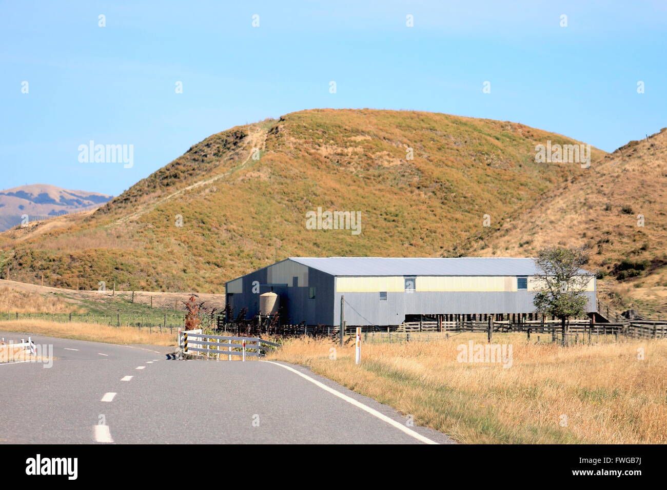 Wool shed new zealand hi-res stock photography and images - Alamy