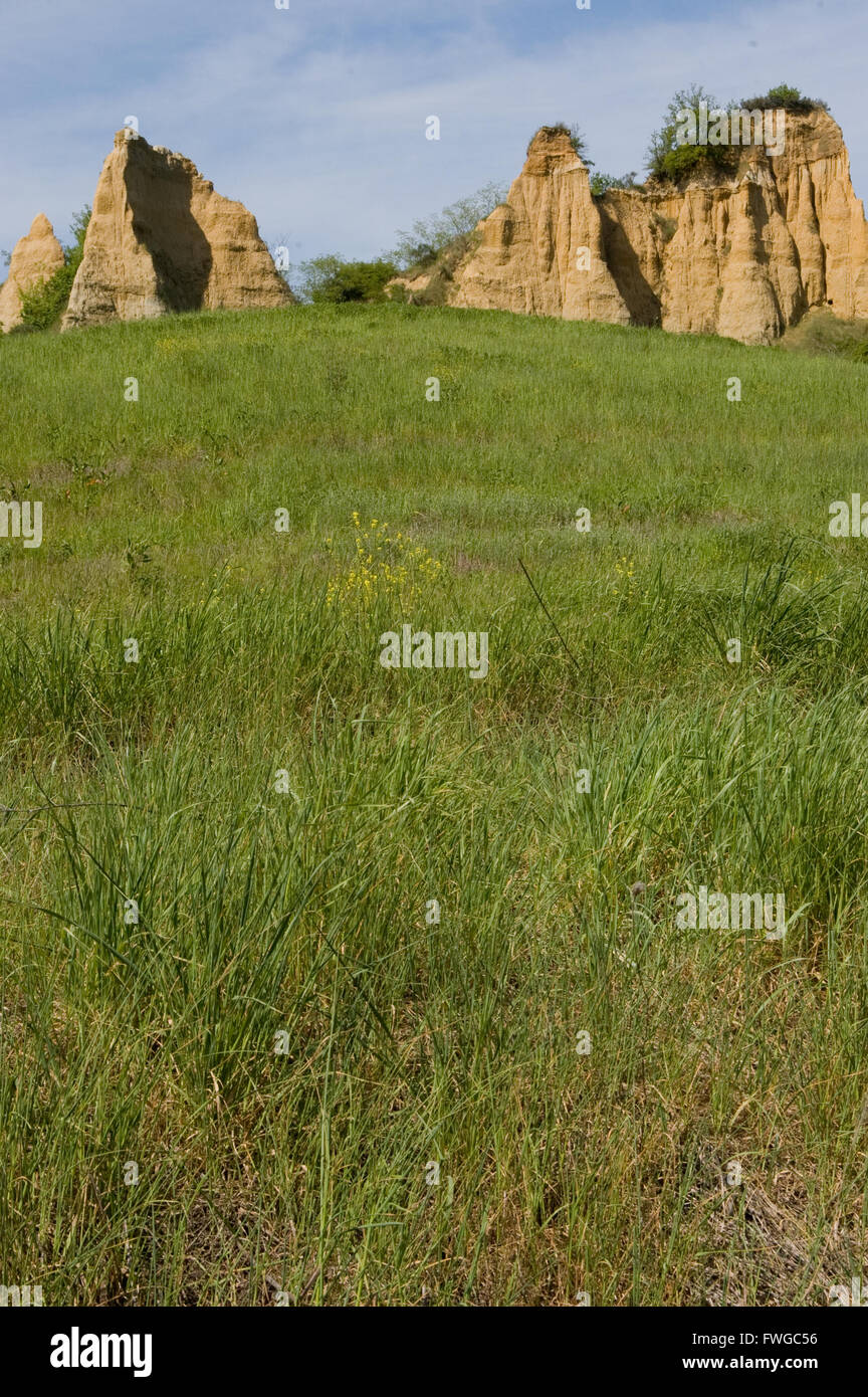 Reggello, canyons valley. Tuscany trekking offers beautiful landscapes ...