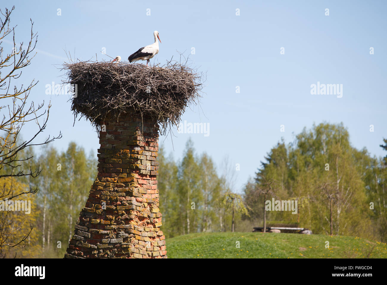Stork nest chimney hi-res stock photography and images - Alamy