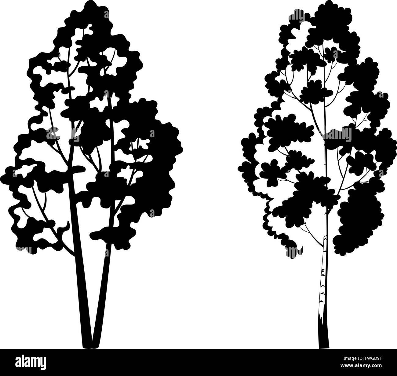 Trees, birch and symbolic silhouette Stock Vector Image & Art - Alamy