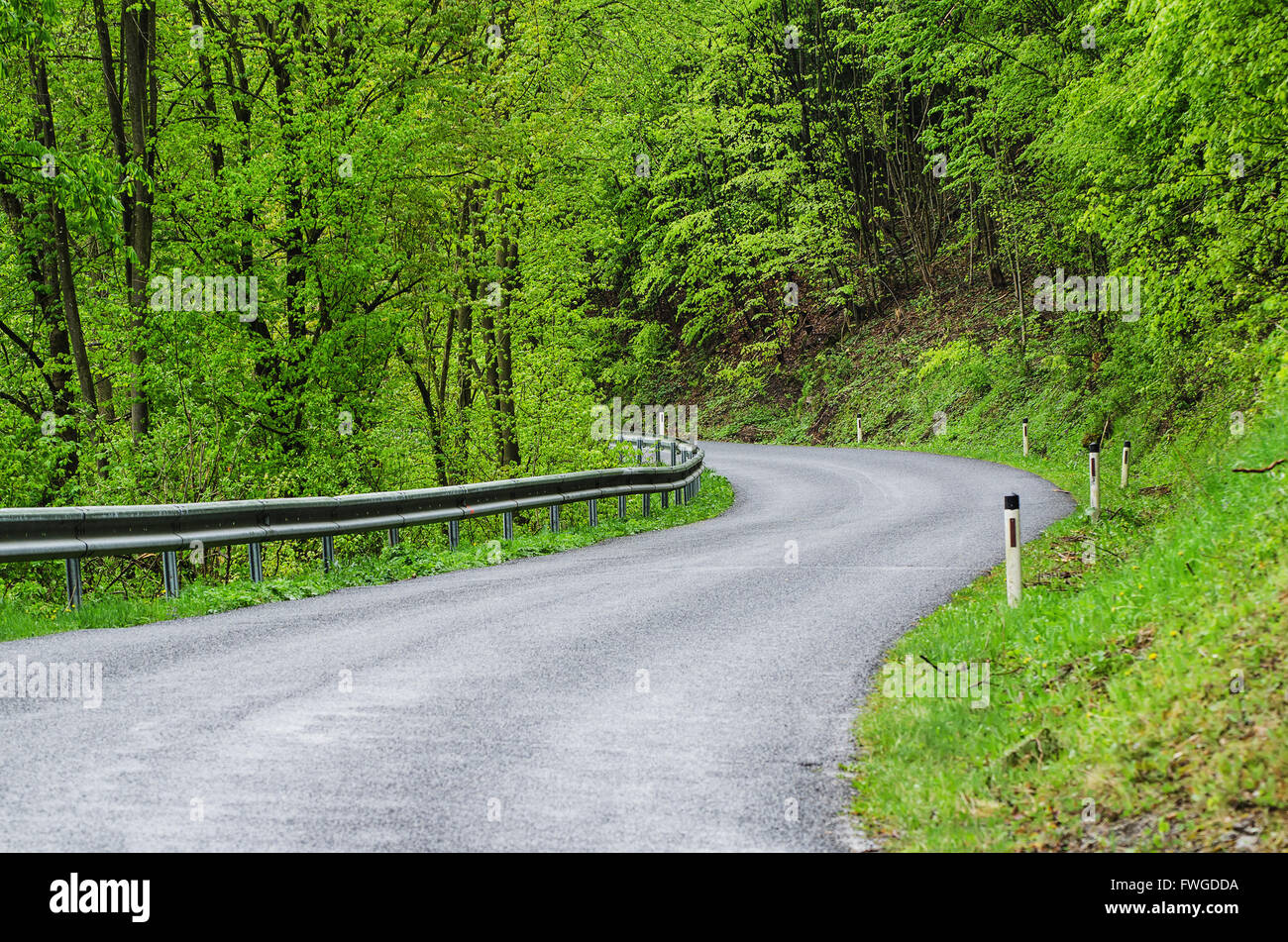 Spring forest road Stock Photo - Alamy
