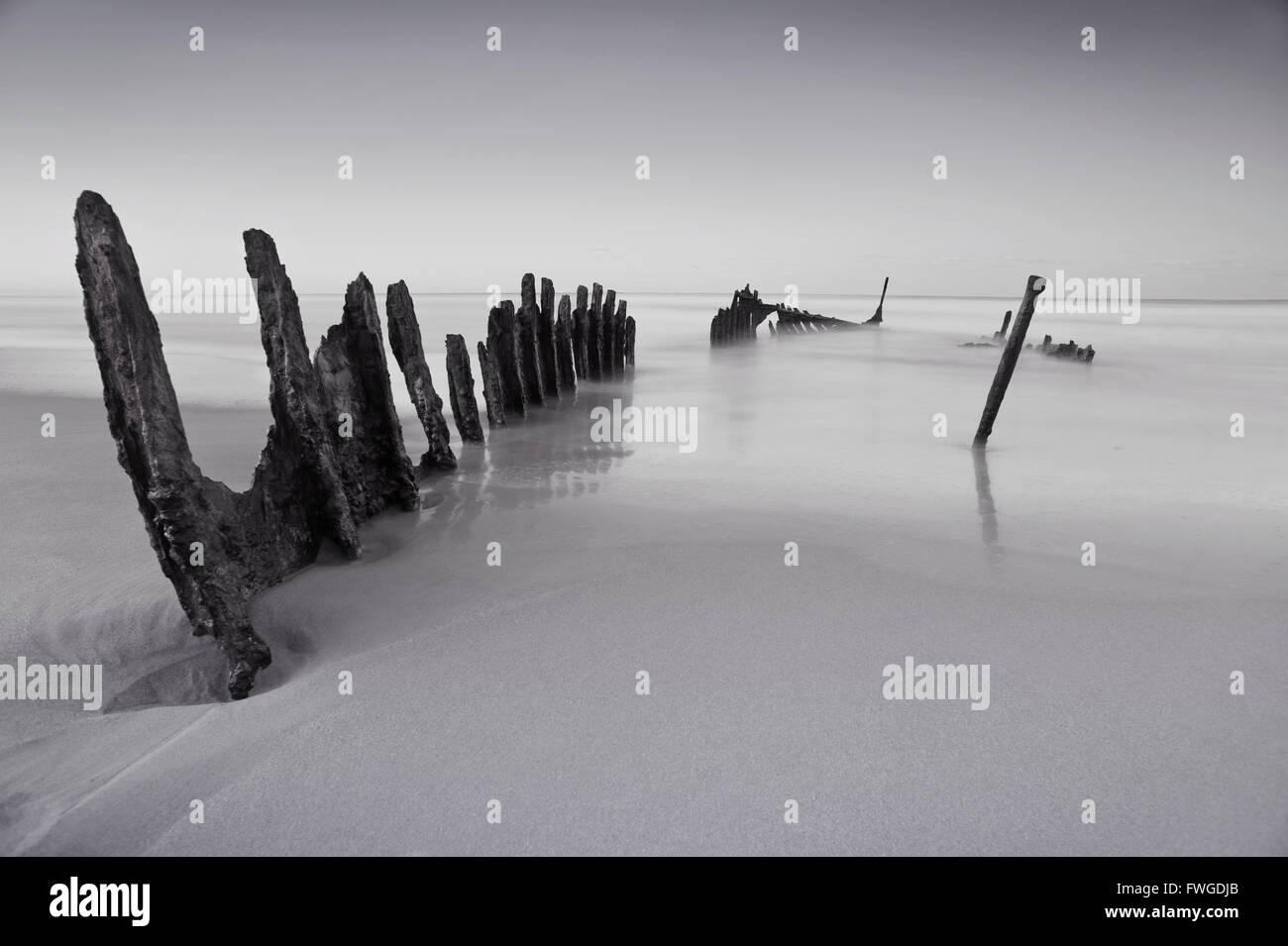 Dicky hi-res stock photography and images - Alamy