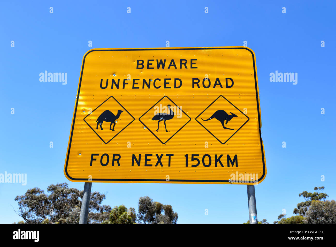 Wildlife crossing road australia hi-res stock photography and images ...