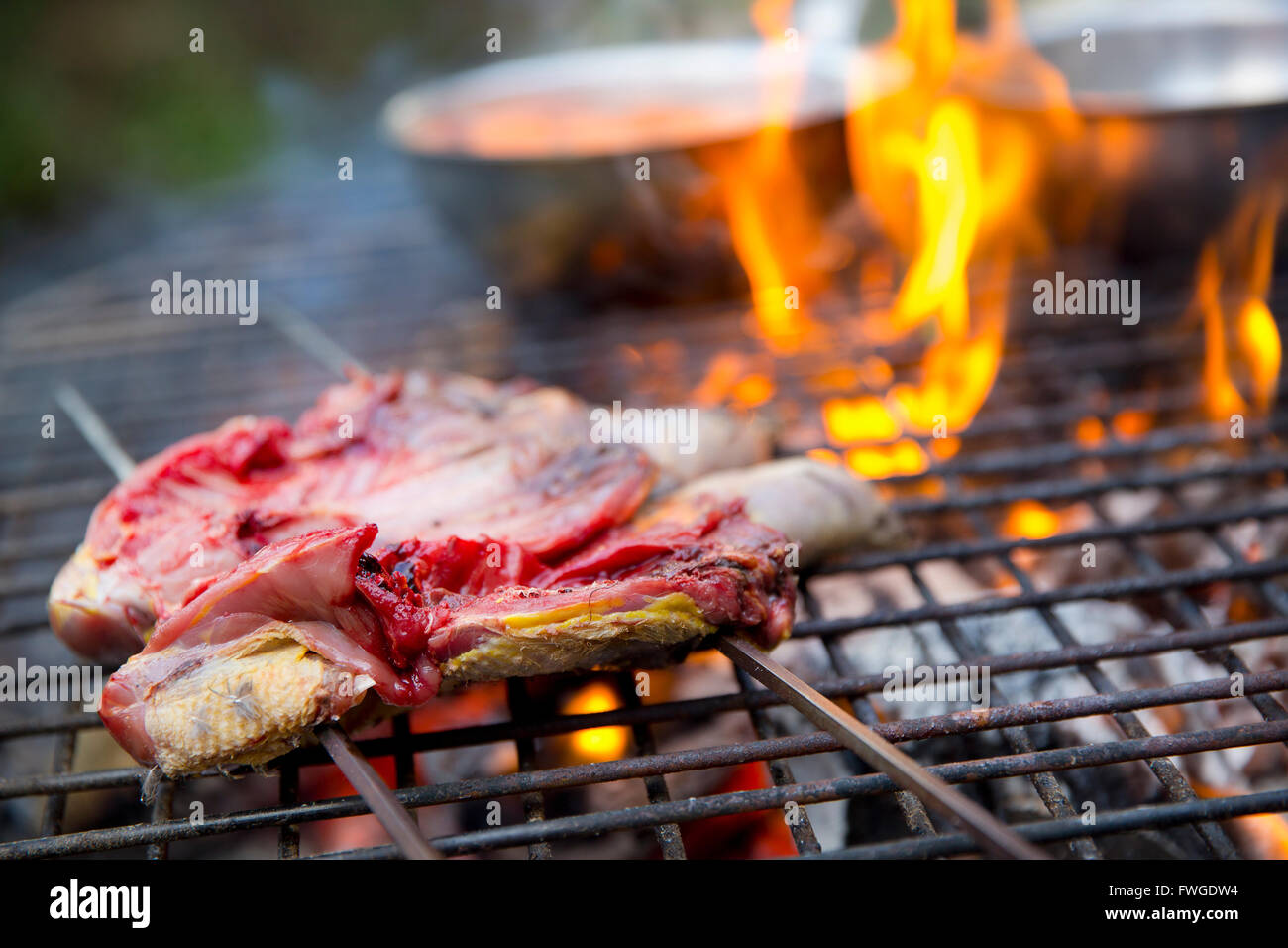 Roasted birds hi-res stock photography and images - Alamy
