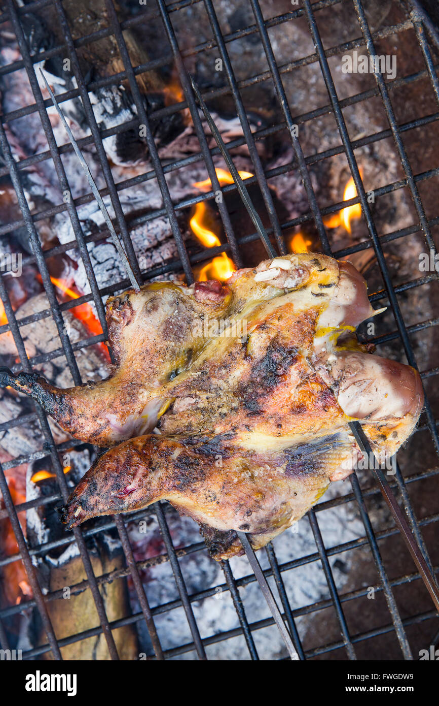 Game bird hi-res stock photography and images - Alamy