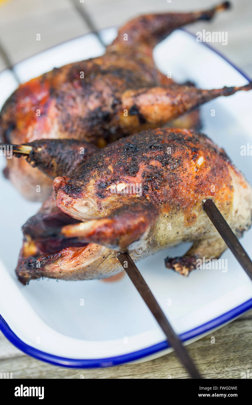Game birds hi-res stock photography and images - Alamy