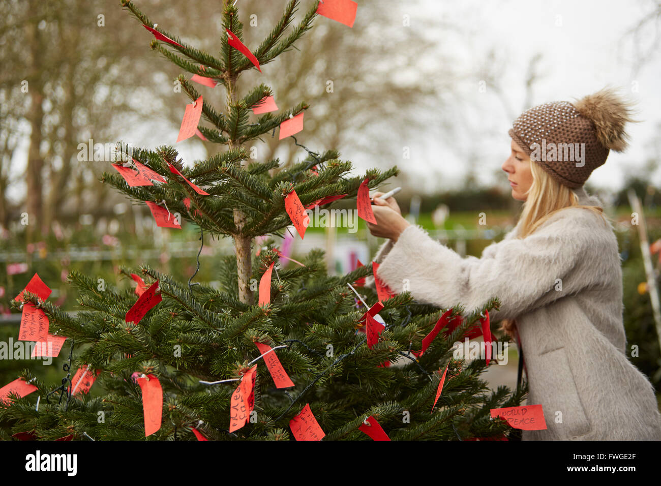 Woman tied to tree hi-res stock photography and images - Alamy