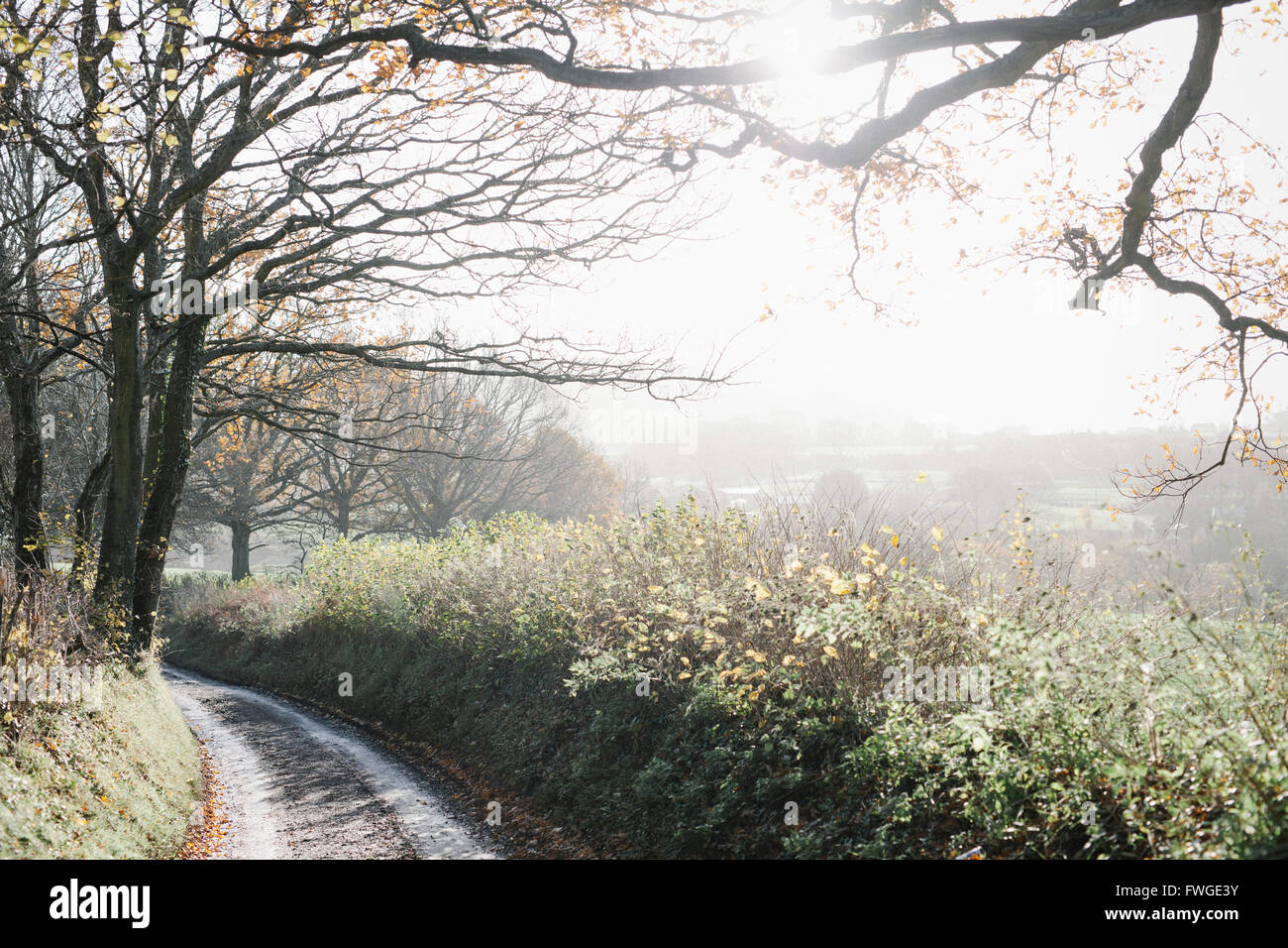 A country lane in winter Stock Photo - Alamy