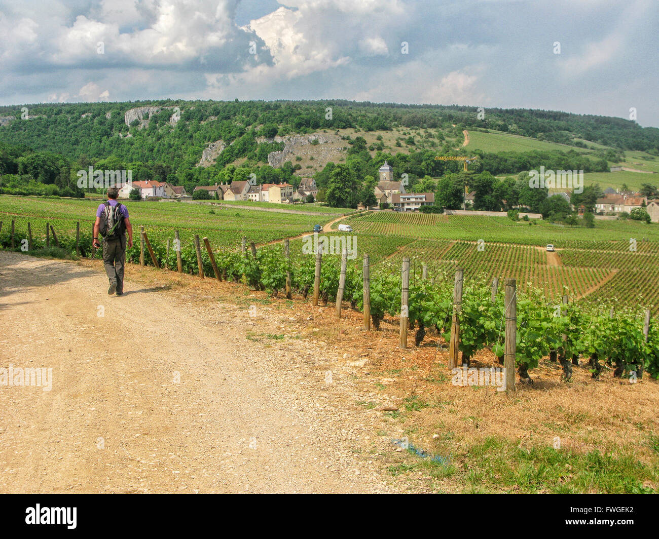 Walking through Burgundy vineyards and villages Stock Photo - Alamy