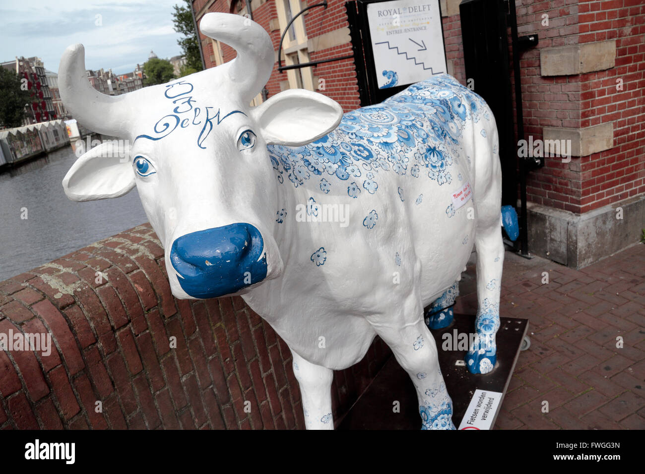 Square cow hi-res stock photography and images - Alamy