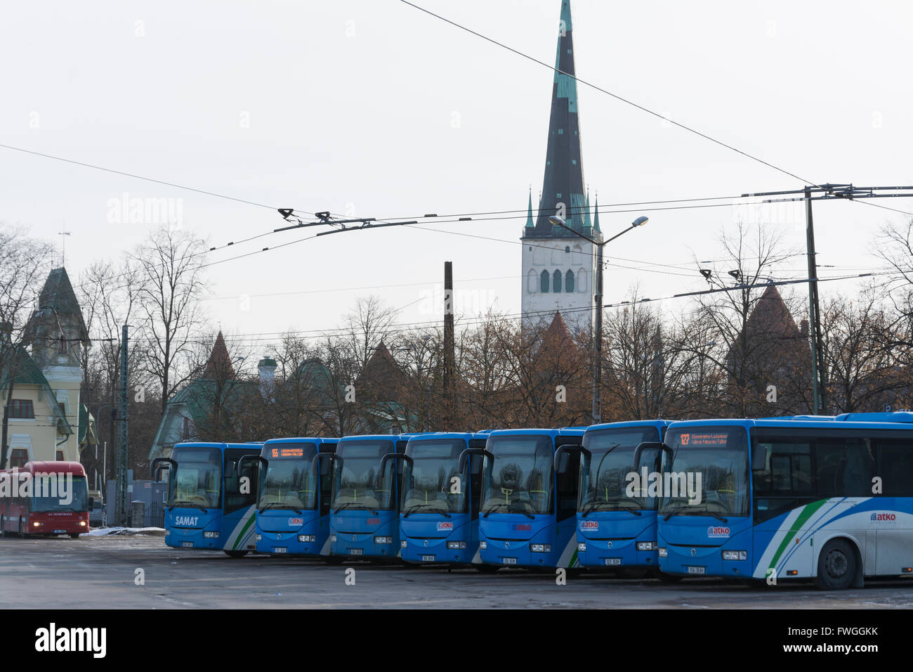 Blue buses in line at Balti jaam in Tallinn Estonia Stock Photo - Alamy