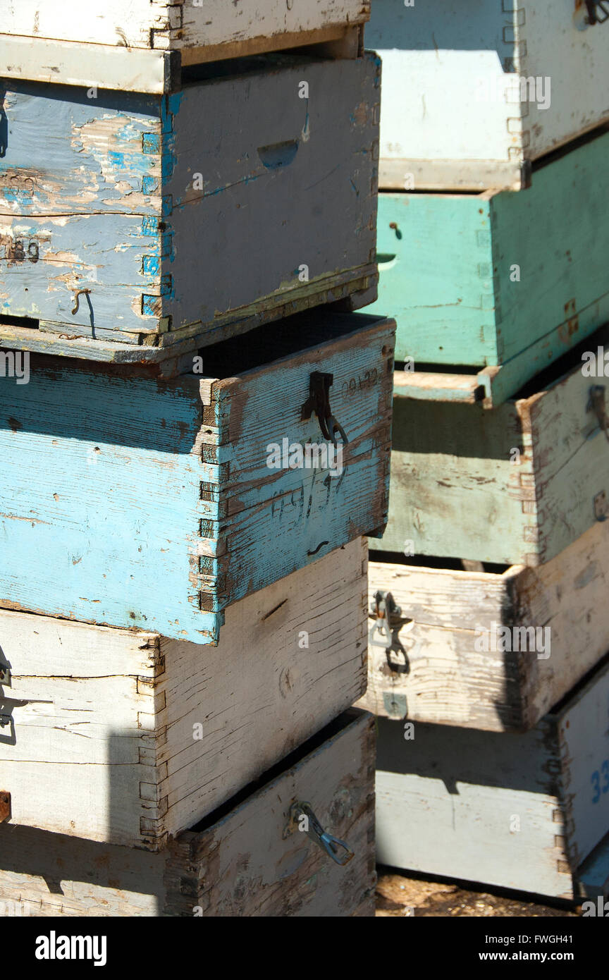 gray blue white and green boxes Stock Photo - Alamy