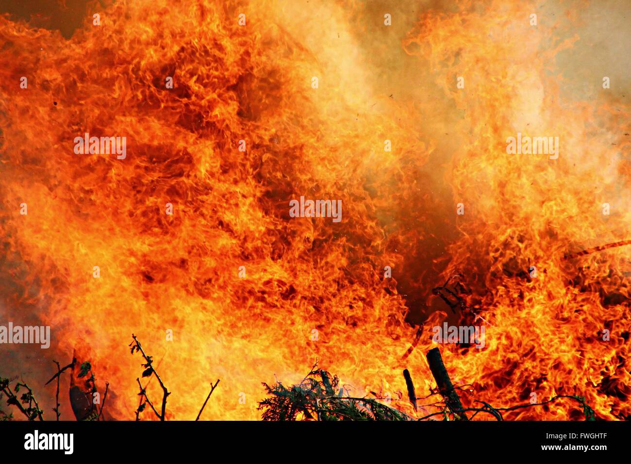 Fire burning in the forest hi-res stock photography and images - Alamy