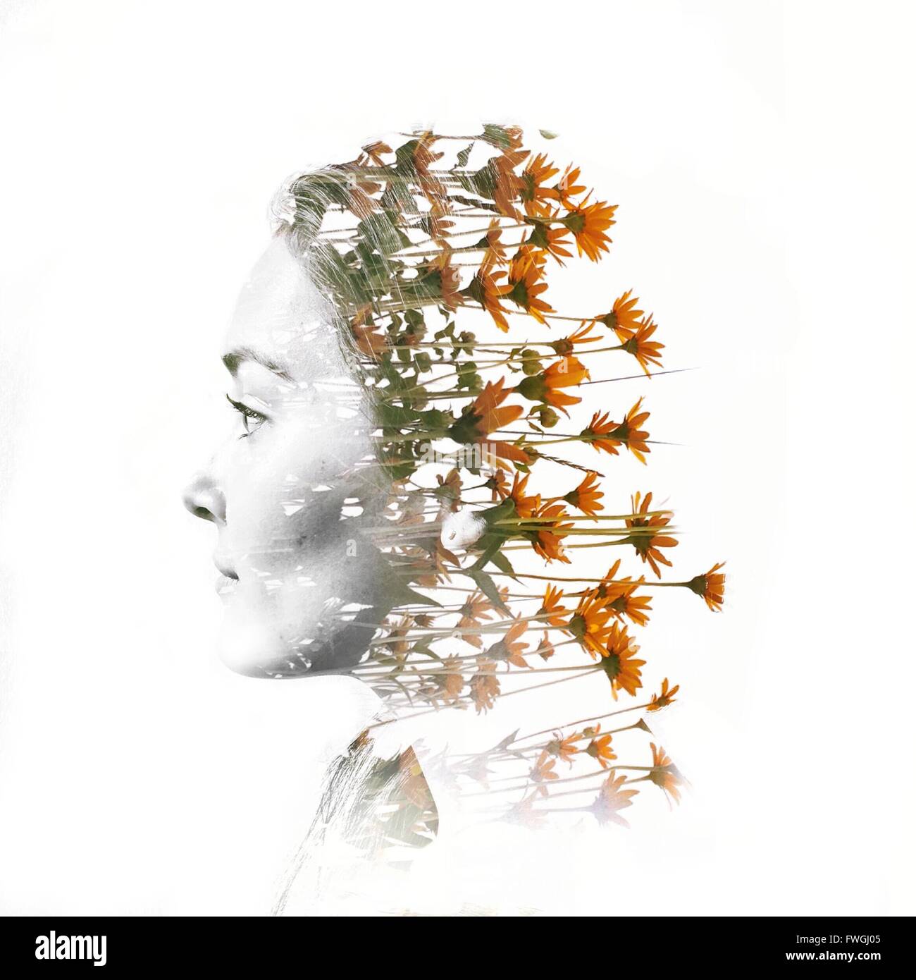 Digital Human Head High Resolution Stock Photography and Images - Alamy