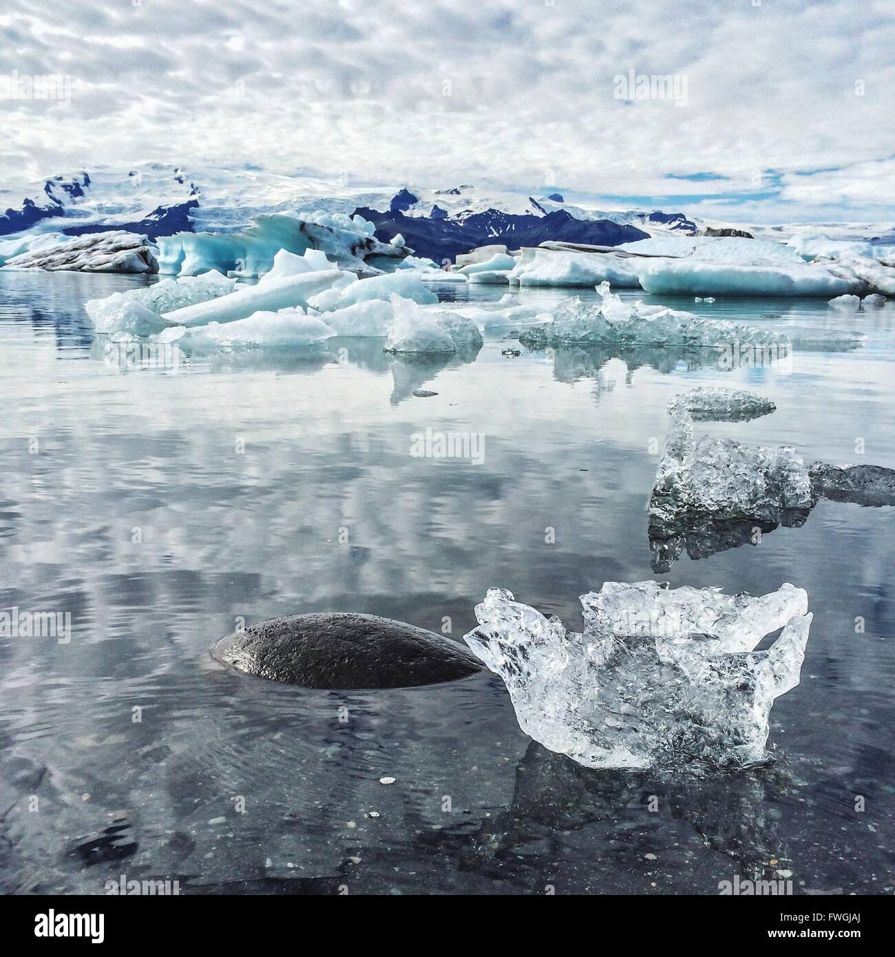 Floating on water nature hi-res stock photography and images - Alamy