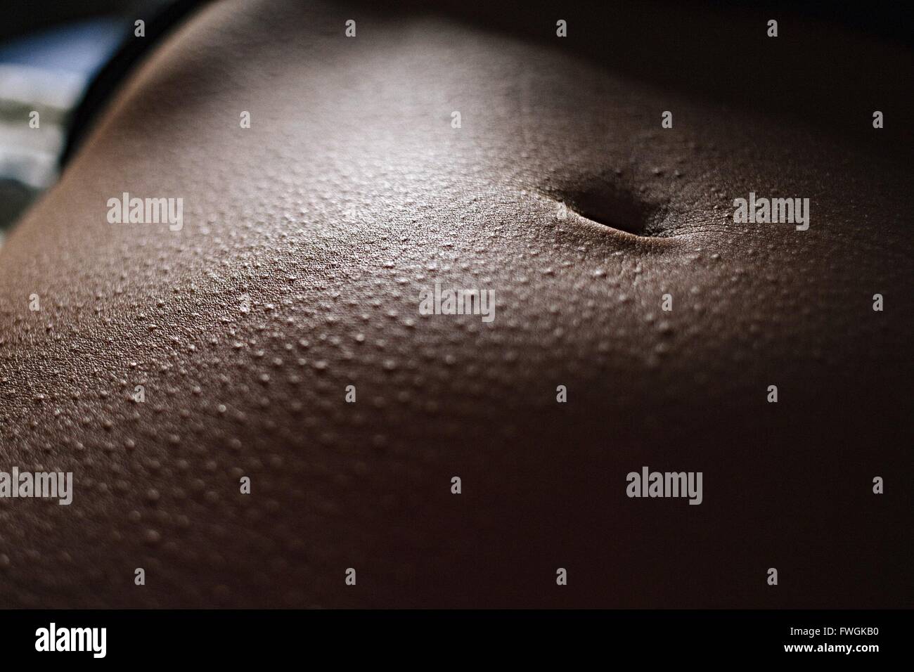 Close up of abdomen hi-res stock photography and images - Alamy