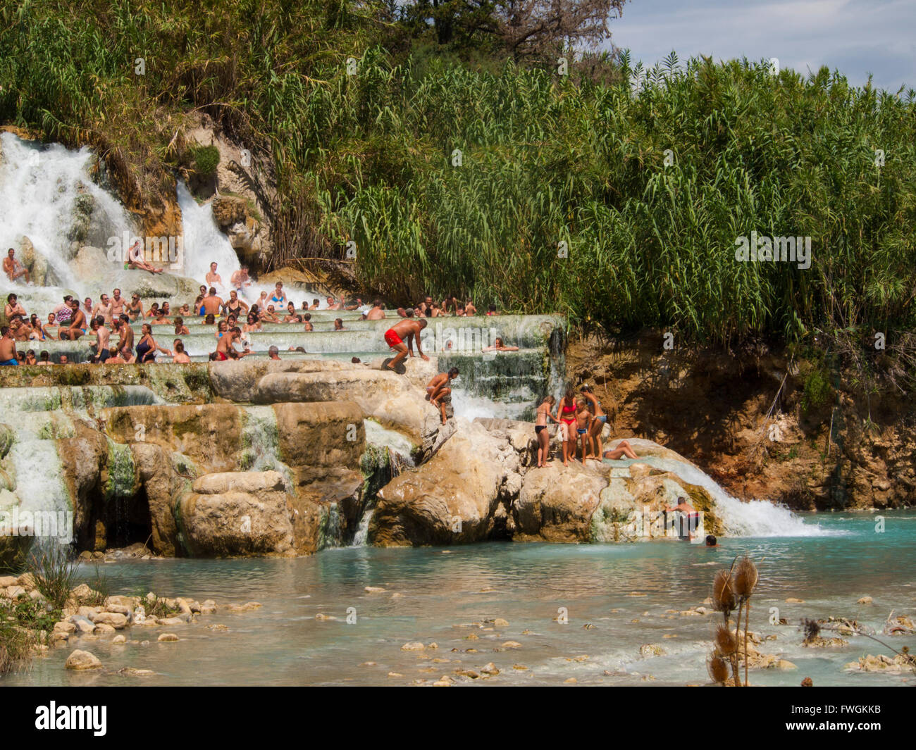 Waterfall life hi-res stock photography and images - Alamy