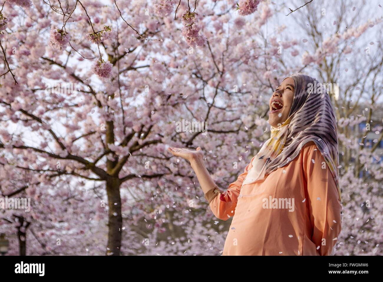 Flower petals falling hi-res stock photography and images - Alamy