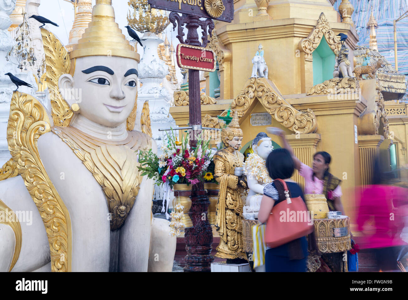 Obeisance to buddha hi-res stock photography and images - Alamy