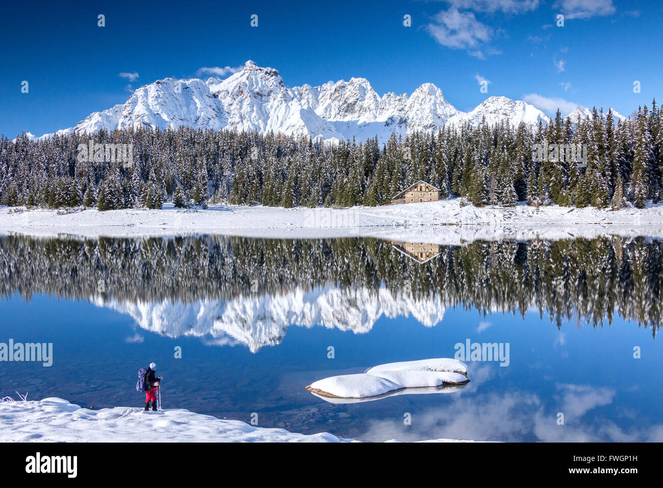 Hiker admires the snowy peaks and woods reflected in Lake Palu, Malenco ...