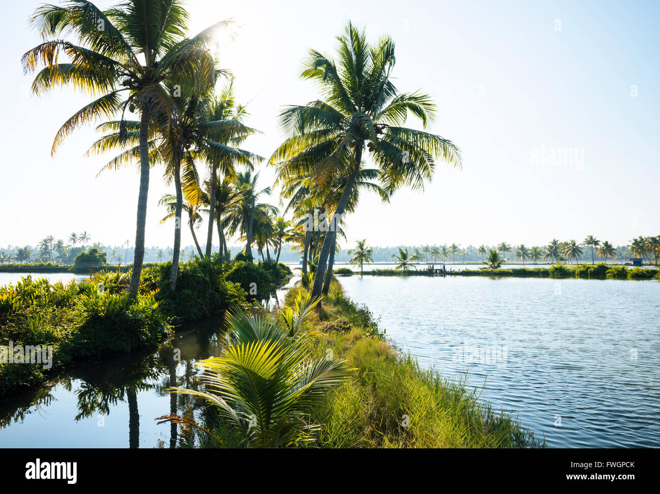 Backwaters near North Paravoor, Kerala, India, South Asia Stock Photo ...