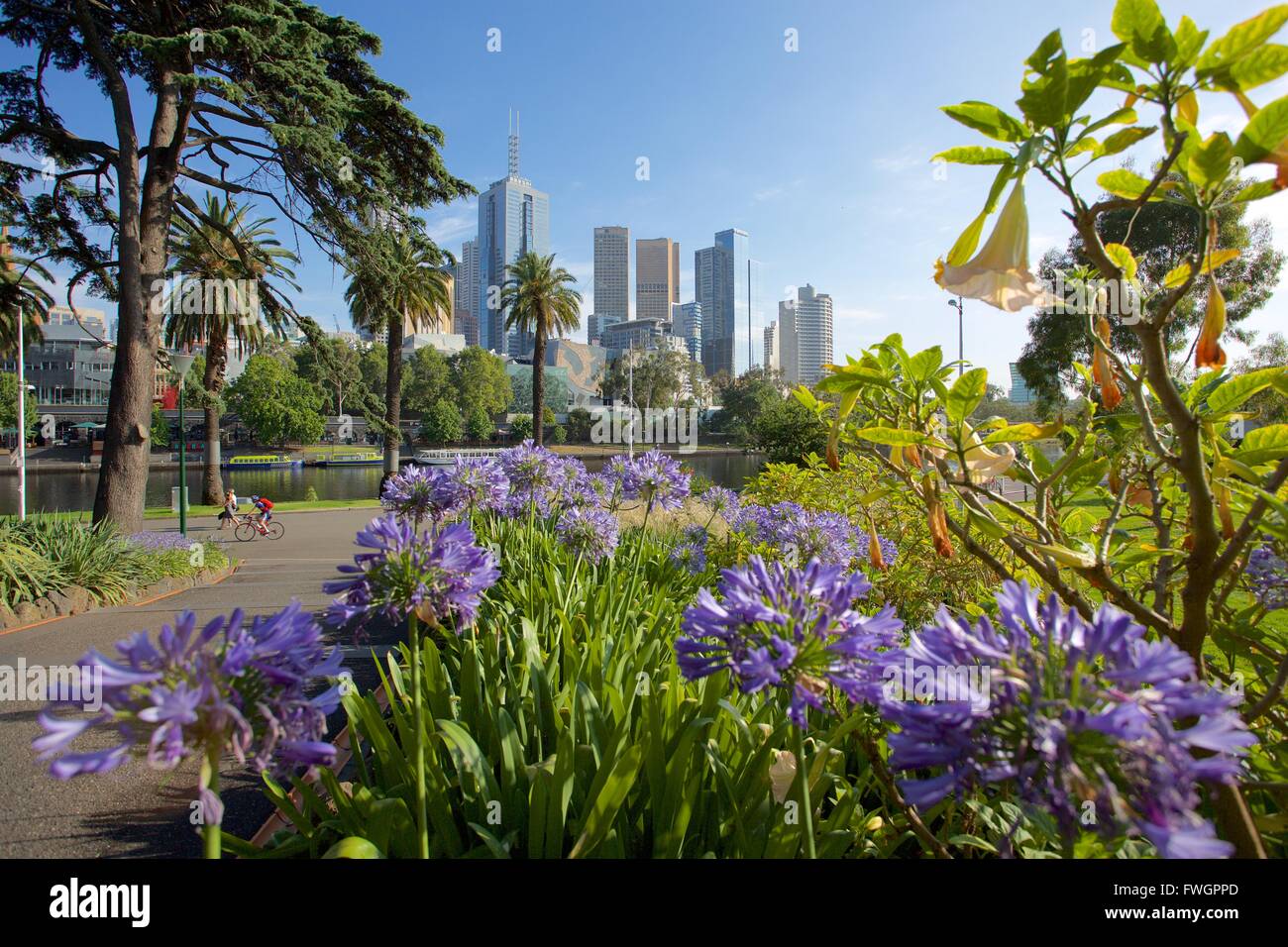 View of City from Alexandra Gardens, Melbourne, Victoria, Australia ...
