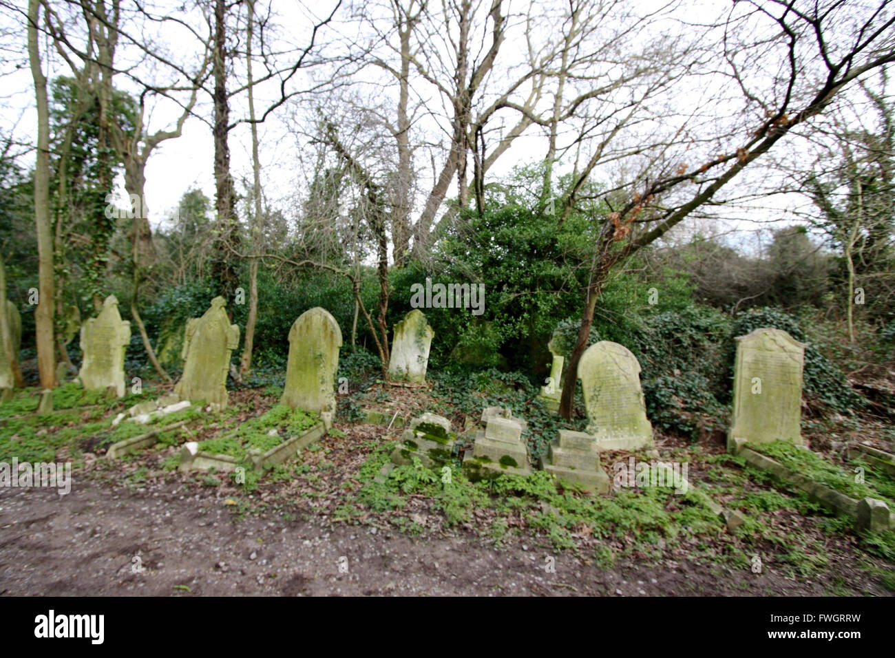 Nunhead cemetery london hi-res stock photography and images - Alamy