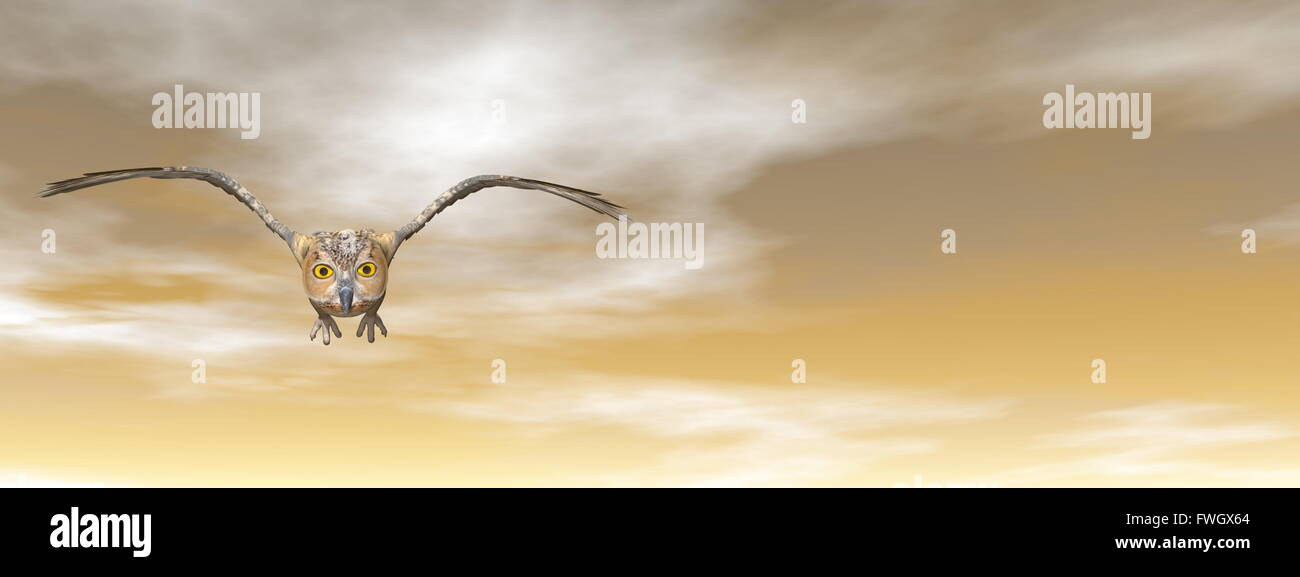 Brown owl flying in the sky by sunset - 3D render Stock Photo - Alamy