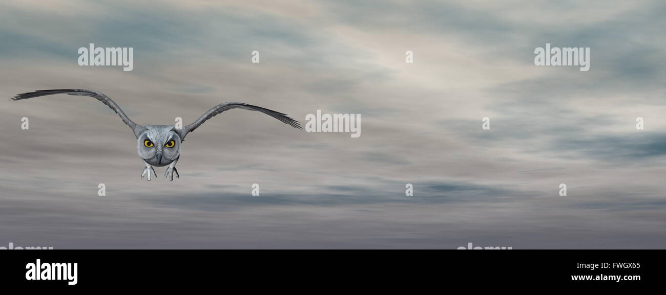 Grey owl flying in the sky by sunset - 3D render Stock Photo - Alamy