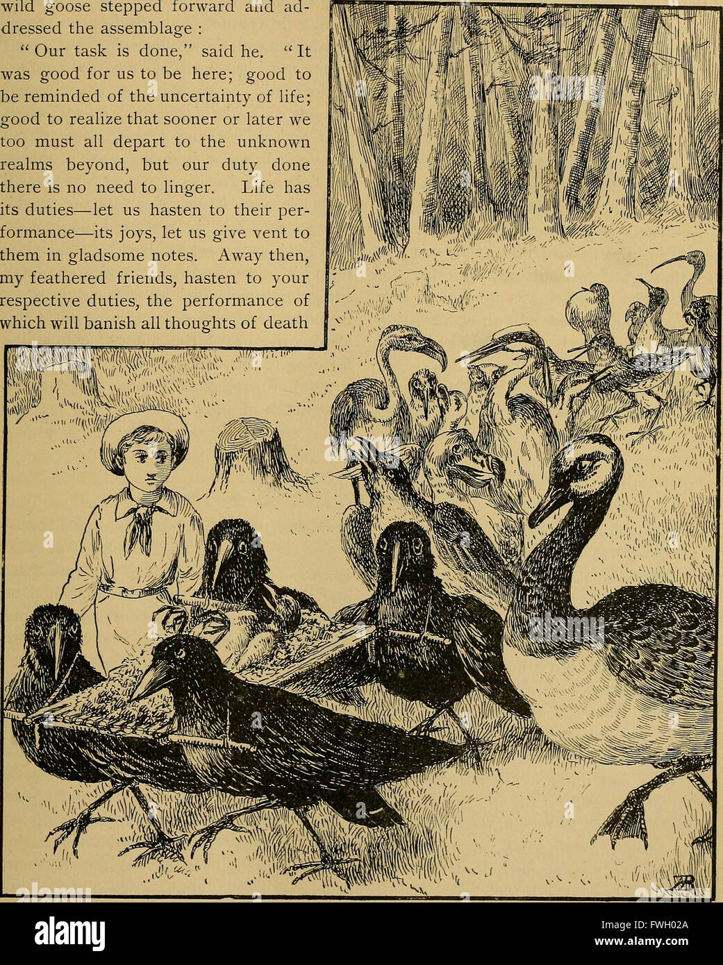 *The Audubon Magazine* (1887) offers a comprehensive look at ...