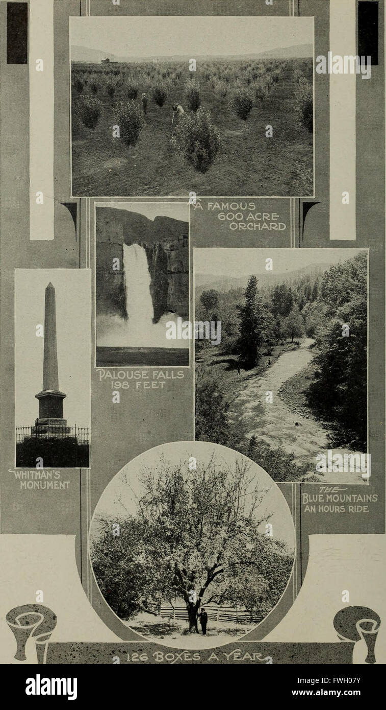 This guidebook highlights the natural beauty of Washington state ...