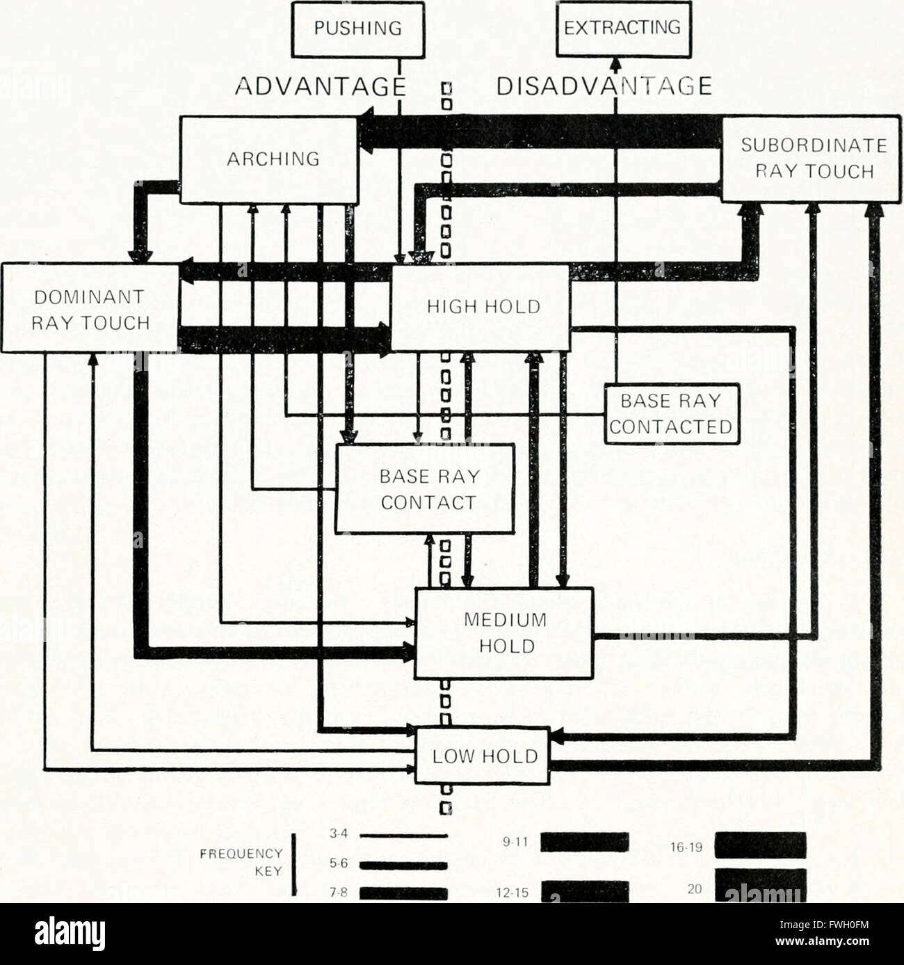 The Biological Bulletin publishes scientific papers on topics related ...