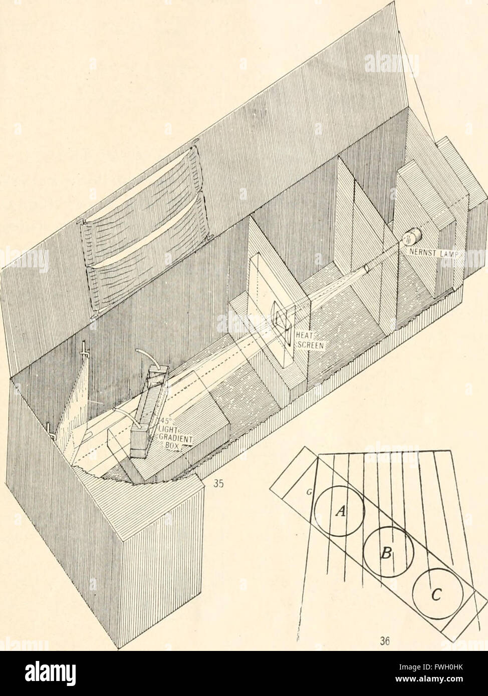 The 'Biological Bulletin' features research articles on a wide range of ...