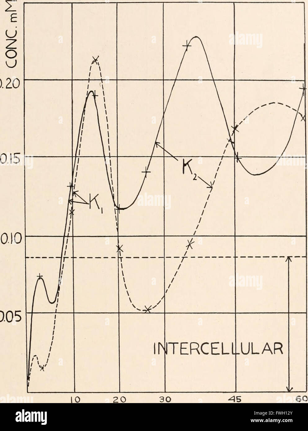 The Biological bulletin Stock Photo - Alamy