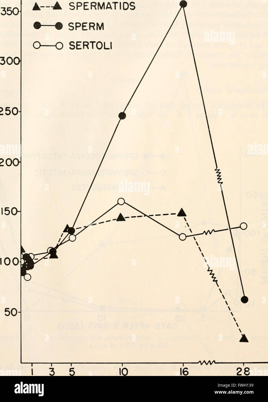 The Biological bulletin Stock Photo - Alamy