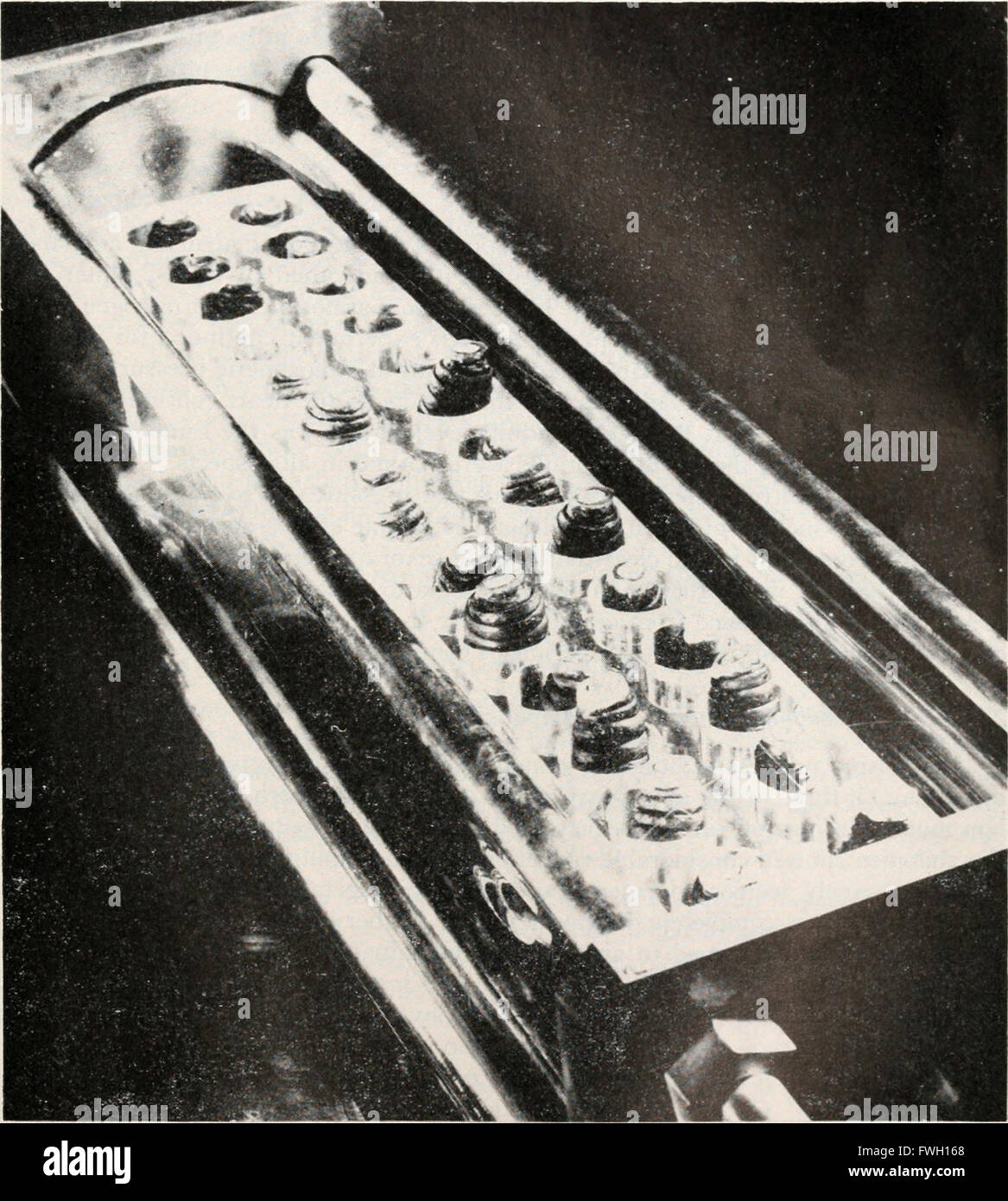 The Biological bulletin Stock Photo - Alamy