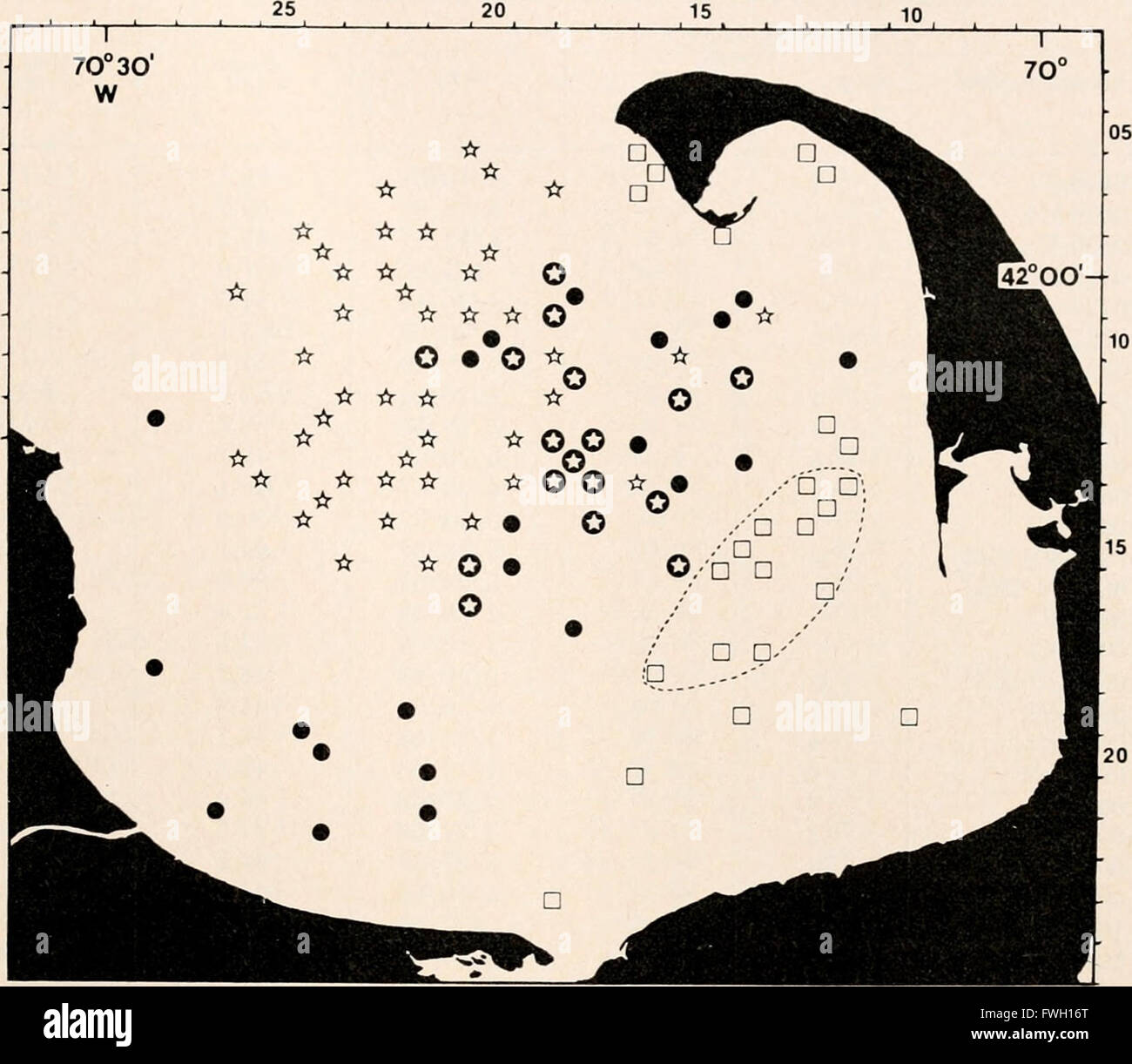 The Biological bulletin Stock Photo - Alamy