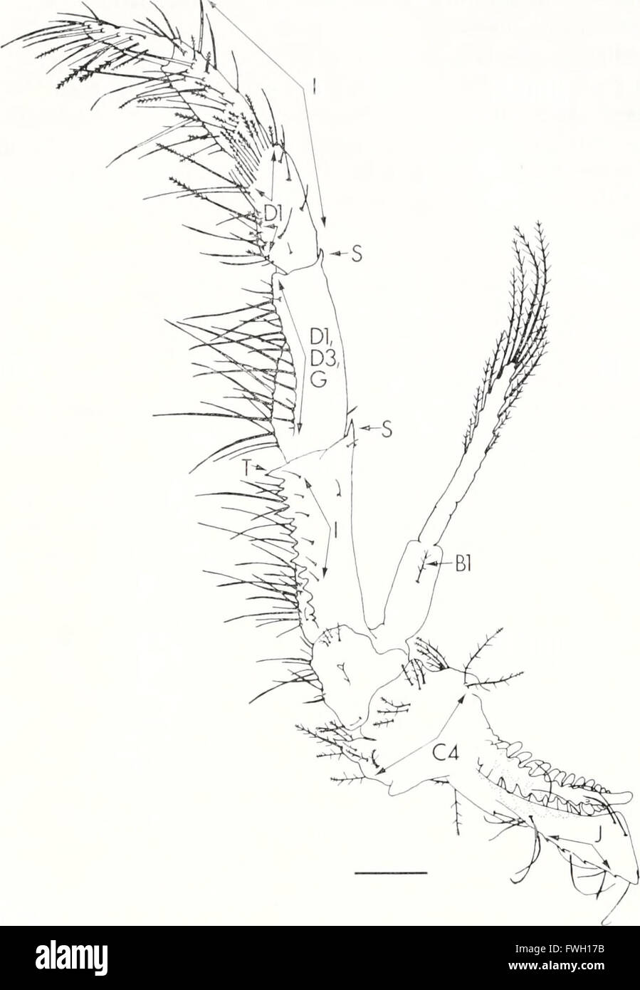 Book Bulletin Cut Out Stock Images & Pictures - Alamy