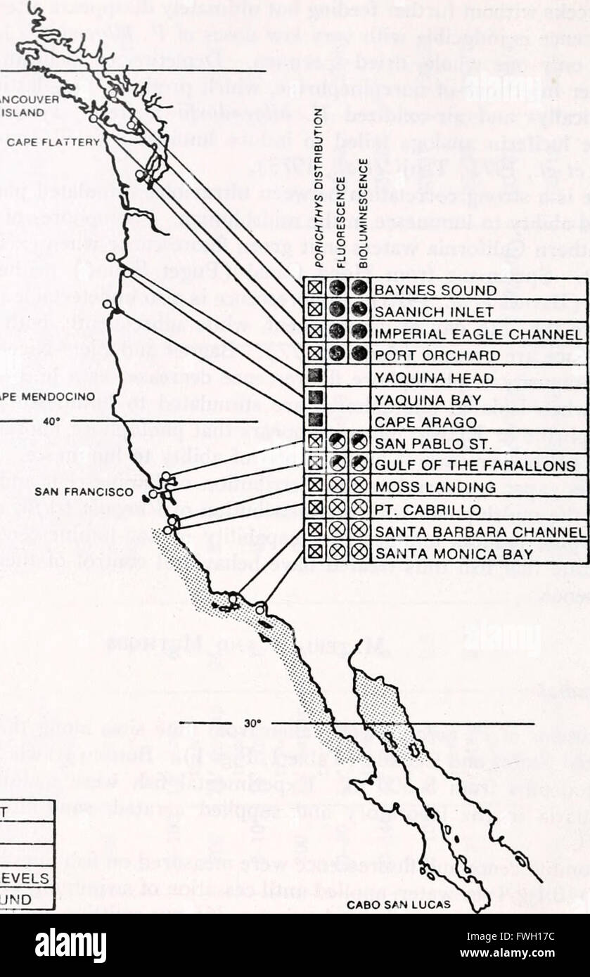 The Biological bulletin Stock Photo - Alamy